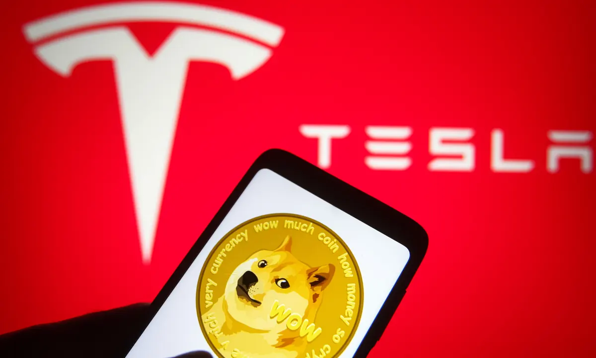 Elon Musk Letak Halaman Istimewa Untuk DOGE Di Website Tesla!